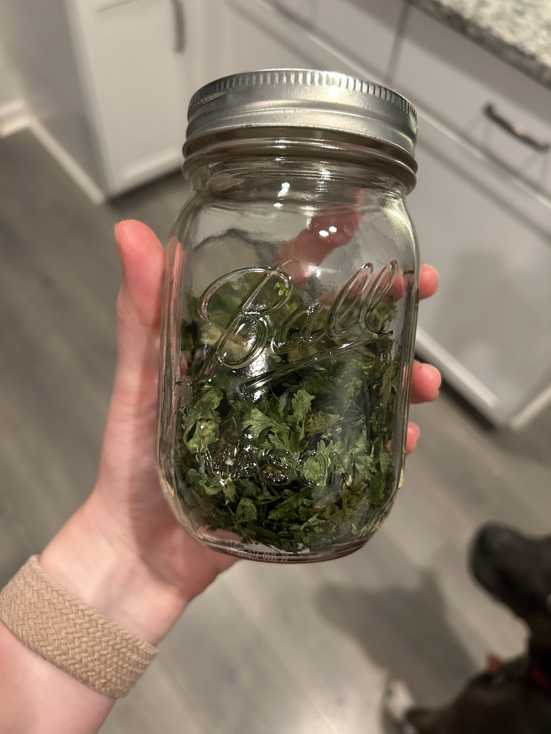 Drying and Preserving Fresh Cilantro in the Oven - The Regular Folks